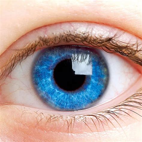 Conjunctiva Segmentation Dataset Kaggle Conjunctiva Segmentation Dataset Kaggle