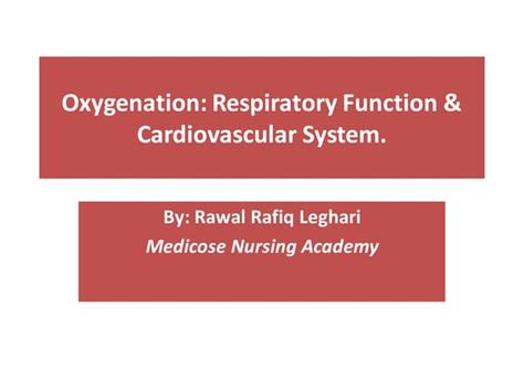 Oxygenation 2 Pdfhjjjjjjuuuiiiiiiiiiiiii Pdf