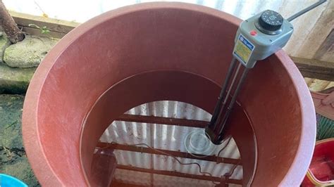 꽃이 피고 따뜻한 날은 오지만 집은 사계절 겨울입니다