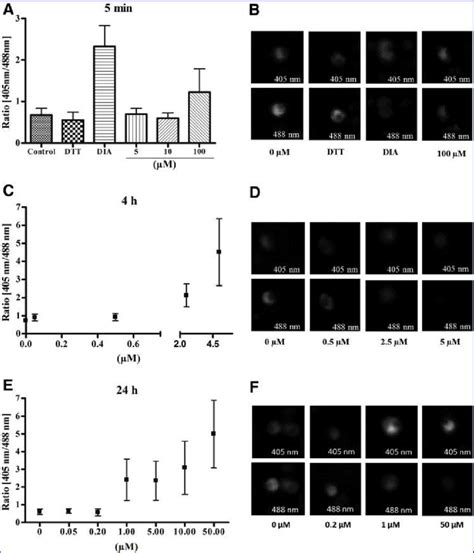 Live Cell Imaging Of The Intracellular Glutathione Redox Potential Download Scientific Diagram