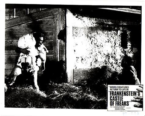 Frankensteins Castle Of Freaks