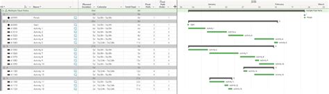 how to find the real critical path via multiple float paths in primavera proove