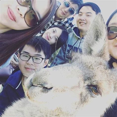 我和蒙納士大學有個約會 每日頭條