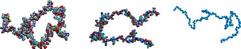 Figure 2 From Molecular Simulations Of The Fluctuating Conformational Dynamics Of Intrinsically