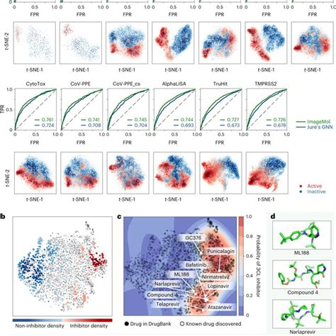 Evaluation And Discovery Of Anti Sars Cov 2 Inhibitors Using Download Scientific Diagram