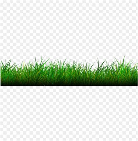 Download Grass Png Images Background Toppng