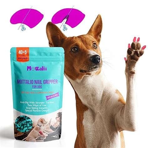 10 Best Dog Nail Grips Your Complete Guide To Safe And Easy Grooming
