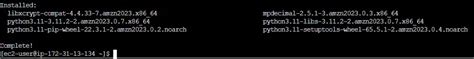 How To Install Python On Amazon Linux 2023 Cloudkatha