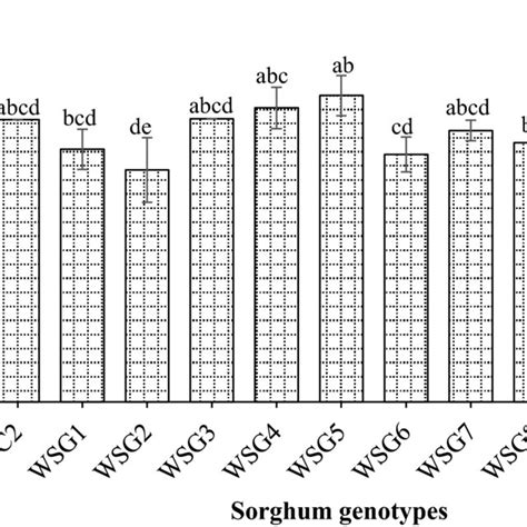 In Vitro Protein Digestibility Of Released Sorghum Cultivar And Download Scientific Diagram