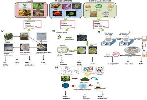 Advantages Of Green Synthesis Of Tio2 Nps By A Plants Extract Sethy Download Scientific