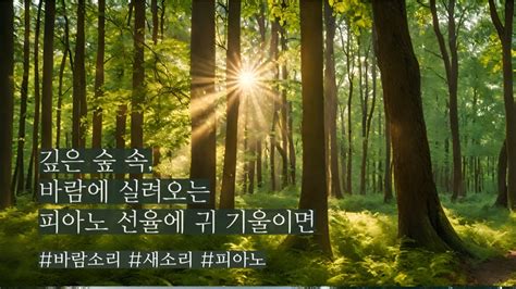 𝙅𝙖𝙯𝙯 숲의 초대 자연의 품에서 치유와 휴식을 선사하는 피아노 연주 Youtube
