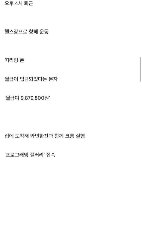 내가 생각하는 프로그래머의 삶 촬스의 이슈와 유머
