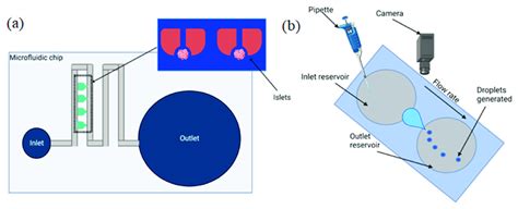 Schematics Of Microfluidic Systems With Surface Tension Flow Rate
