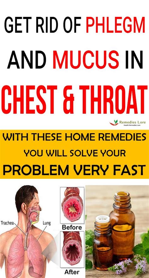 Get Rid Of Phlegm And Mucus In Chest And Throat Instantly Mucus Mucus
