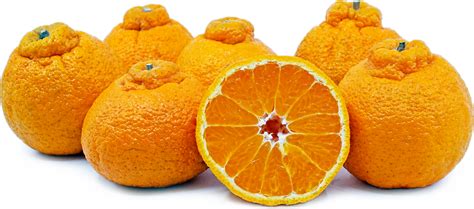 Sumo Citrus™ Information And Facts