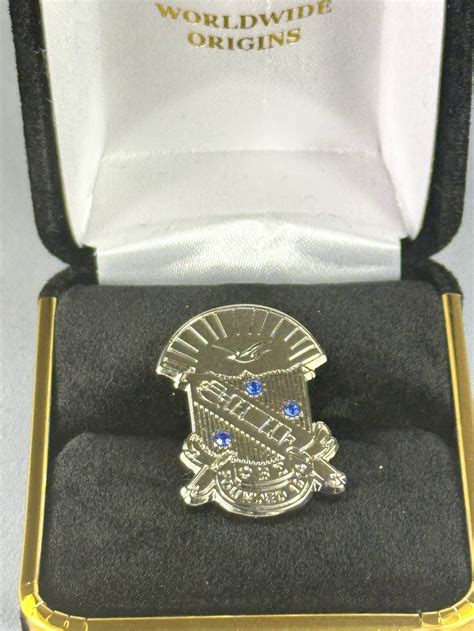 Pbs Silver Stone Lapel Pin