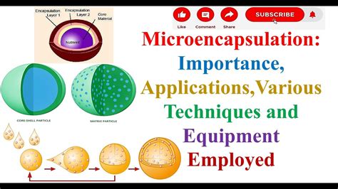 Microencapsulation Importance Applications Various Techniques And Equipment Employed In