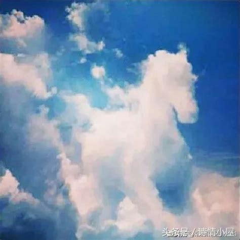 小屋小詩 天馬行空 每日頭條