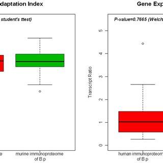 Comparison Of The CAI Values And Gene Expression Profiling Between The