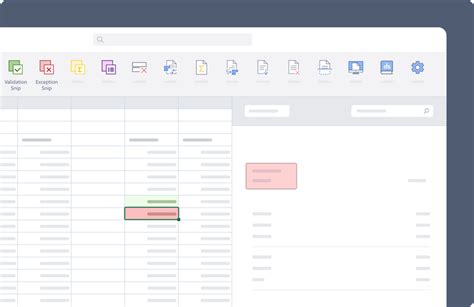 Datasnipper For Government Audit