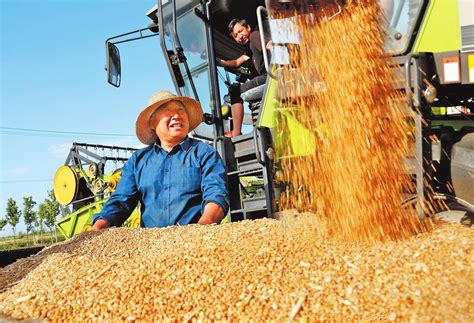 全力备战“三夏”力夺夏粮丰收 大河网