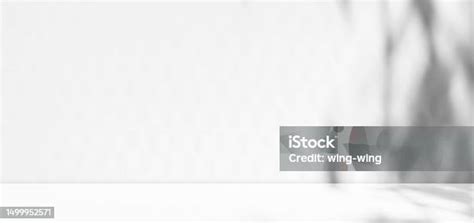 배경 그림자 화이트 라이트 식물 잎 스튜디오 룸 테이블 제품 회색 벽 바닥 그라데이션 배경 무대 위의 창가에서 3d 추상 연단