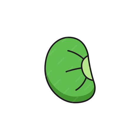 Premium Vector Lima Bean Illustration
