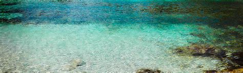 Cascade Scientific Game Cmcc