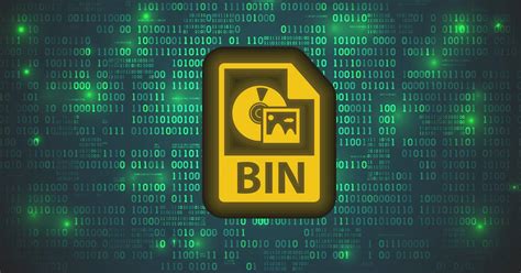 What Is The Bin File Format