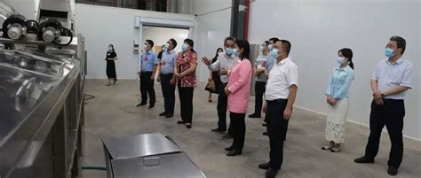 区政协经济和农业农村委联合农业界别调研大安农业园区建设廖文丽示范农业