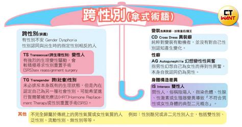 跨性別失速列車 免變性手術男變女 LGBTQ族群也出聲反對 生活 CTWANT