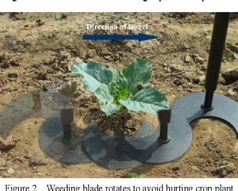 Figure 1 From Crop Positioning For Robotic Intra Row Weeding Based On Machine Vision Semantic