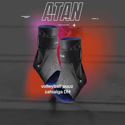 Шагайны хамгаалалт бэлэн