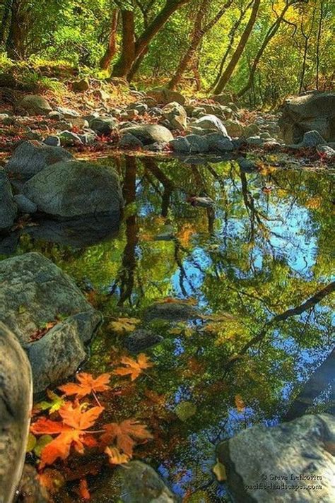 Ted Blogs Tumbex