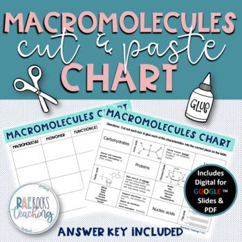 Macromolecules Chart By Rae Rocks Teaching TPT