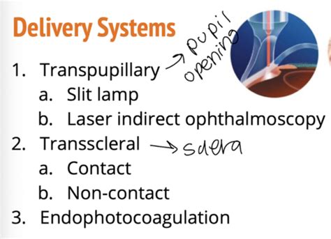 Lec 1 Tissue Interactions Thomas Flashcards Quizlet