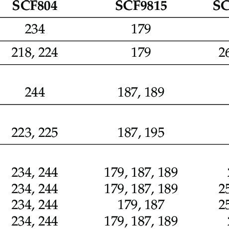 Simple Sequence Repeat SSR Marker Panel And Capillary DNA Fragment Download Scientific