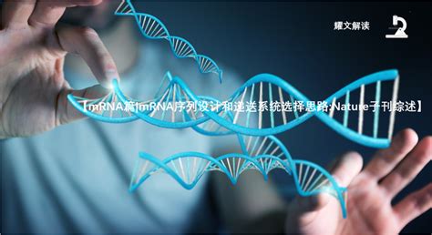 【耀文解读】mrna篇mrna序列设计和递送系统选择思路:nature子刊综述 知乎 【耀文解读】mrna篇mrna序列设计和递送系统选择思路:nature子刊综述 知乎