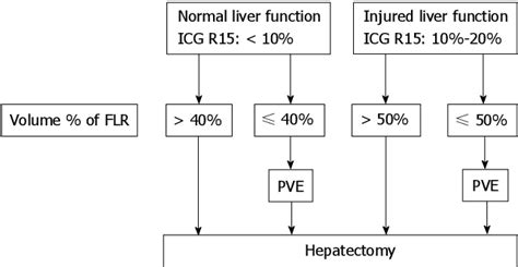 Figure 1 From Preoperative Portal Vein Embolization For Hepatocellular Carcinoma Consensus And