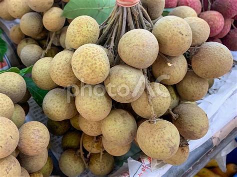 竜眼の束 No 3784971｜写真素材なら「写真ac」無料（フリー）ダウンロードok