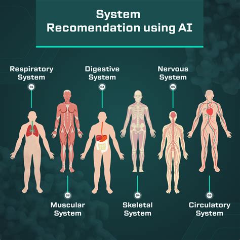 System Recomendation Whitecyber