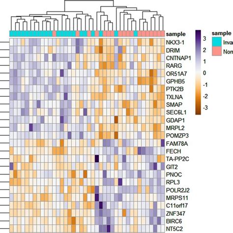 Random Forest Classification This Figure Present 25 Top Importance Download Scientific Diagram