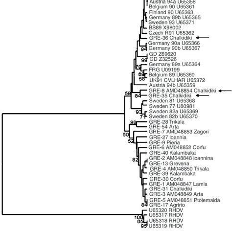 Phylogenetic Tree Resulting From The Bayesian Analysis Clustering The
