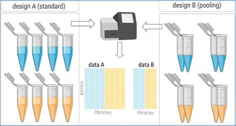 On The Utility Of Rna Sample Pooling To Optimize Cost And Statistical
