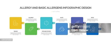 Allergy And Basic Allergens Related Process Infographic Template