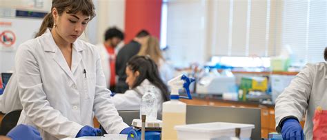 School Of Mathematics Science And Engineering