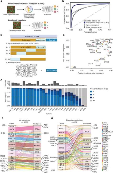 Developmental Deconvolution For Classification Of Cancer Origin