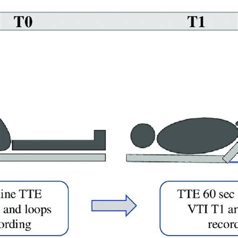 Time Point Schedule And Echocardiography Protocol Tte Trans Thoracic