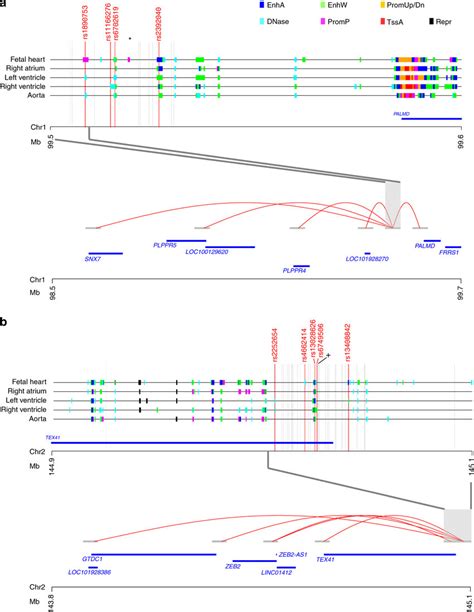 Chromatin Interactions Between Regulatory Regions Harboring Candidate