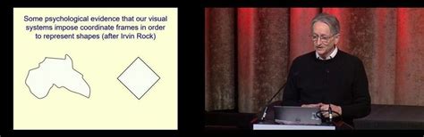 understanding the limits of convolutional neural networks — one of ai s